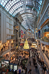 1. They are having a look in a shop