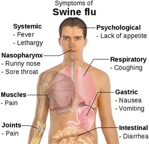 3. If the plane is on time, I will book a trip to the Mekong Delta